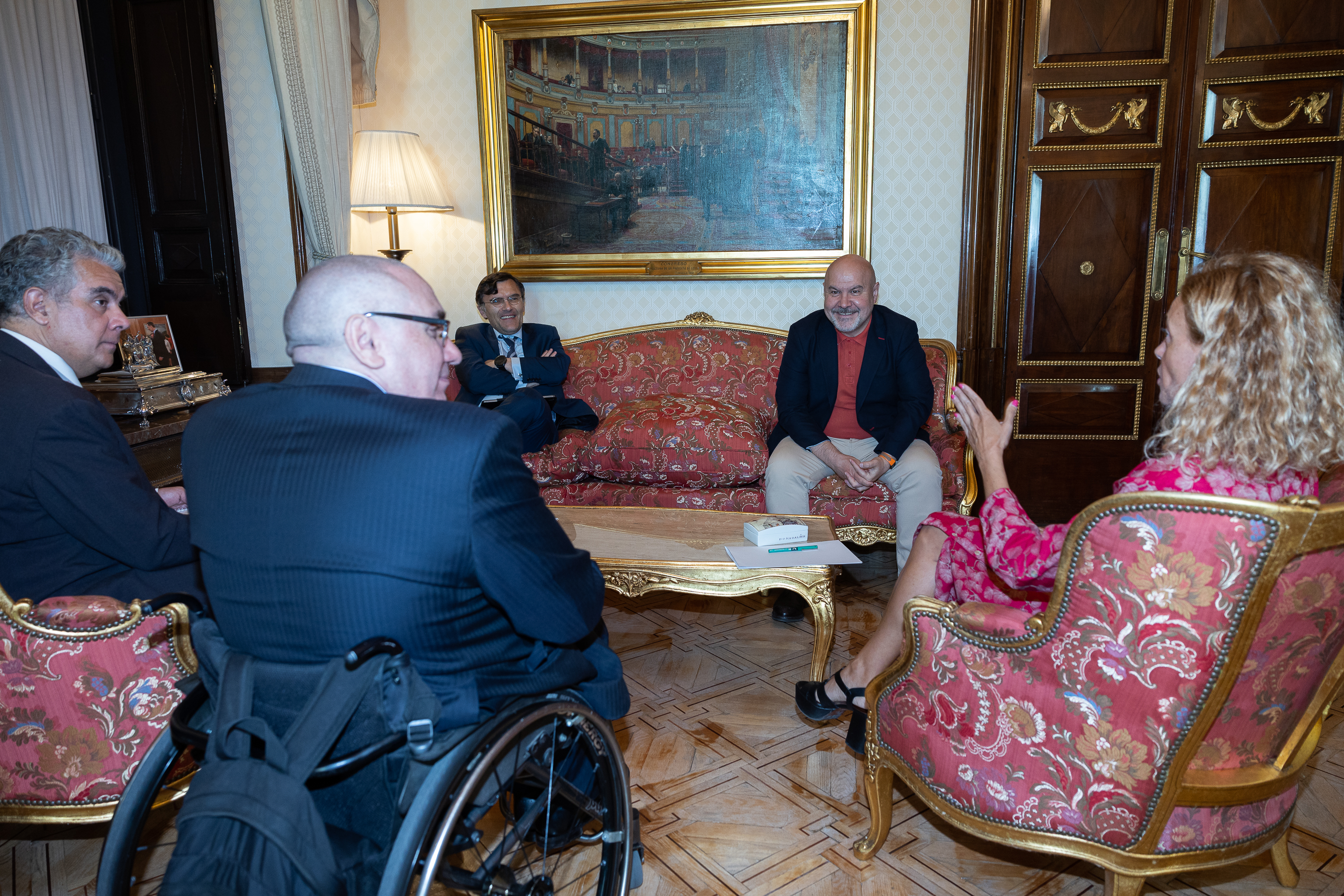 Qué es CERMI | Comité Español de Representantes de Personas con ...